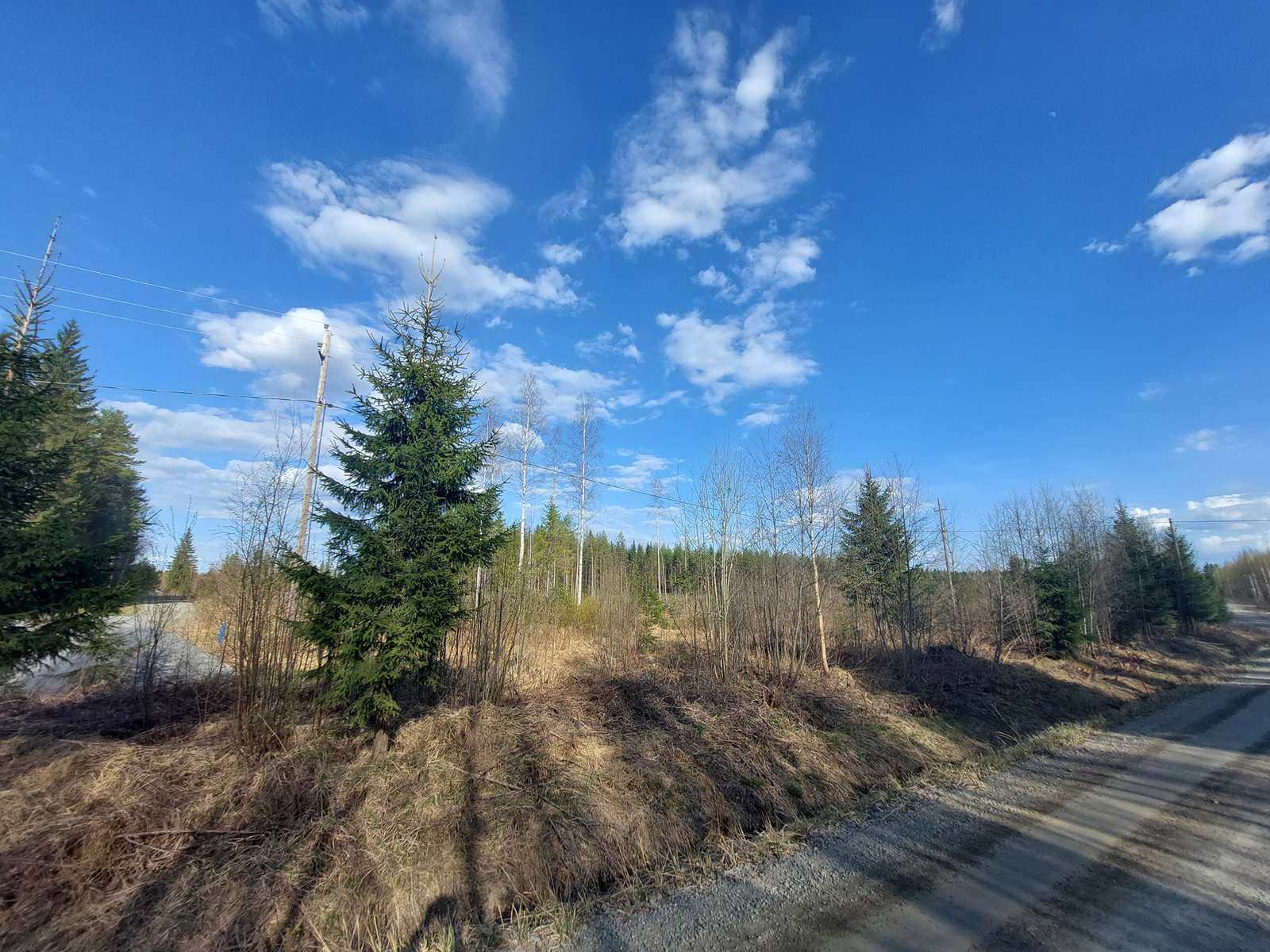 Savon Kiinteistö LKV - Myydään omakotitalotontti Riuttamäentie , 71890 ...